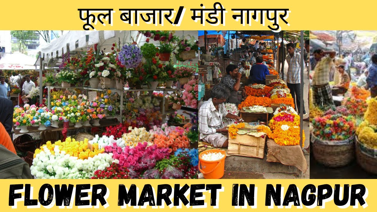 Flower Market Nagpur | फूल मंडी/बाजार नागपुर | #nagpur Nagpurkar ...