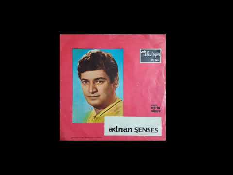 Adnan Şenses - Dünyanın en güzel kadını 1968 (sesi iyi, plak cızırtısı yok)