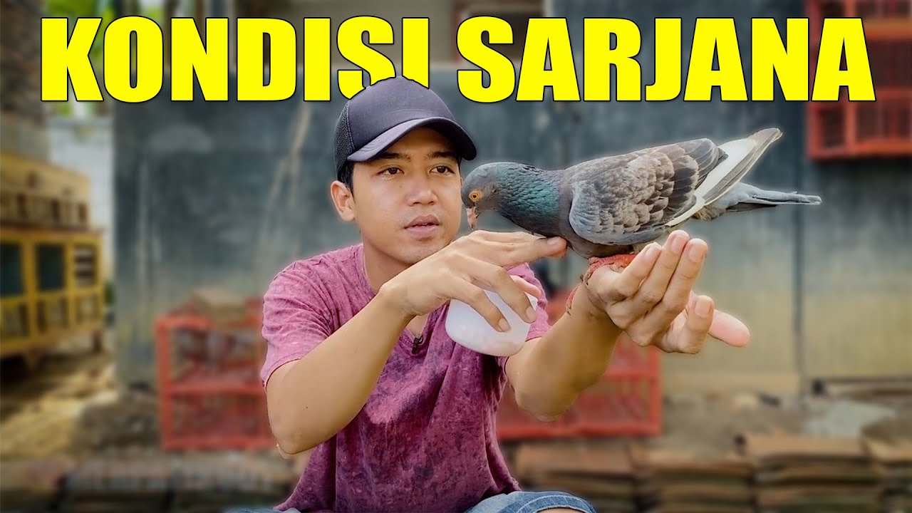 MERPATIKU SARAJANA - YouTube