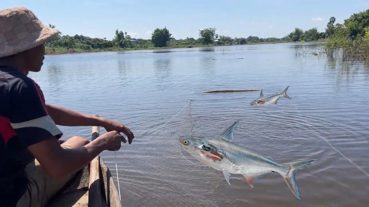 How to trap fish in river - YouTube