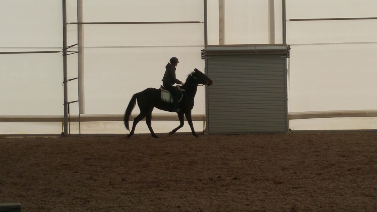 Rex canter 12.9.16 - YouTube