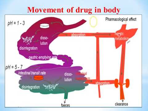 BASIC CONCEPTS OF PHARMACOKINETICS - YouTube