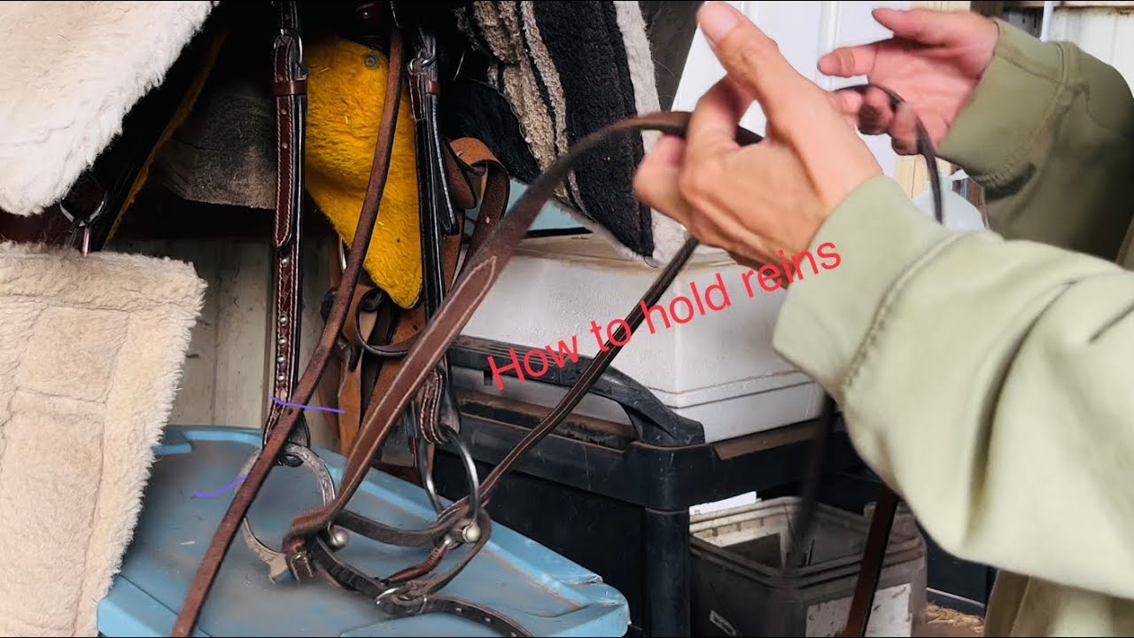 101 lesson how to hold your reins - YouTube