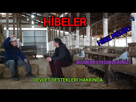 HİBELER KONUSUNDA ÖĞRENMEK İSTEDİKLERİNİZ | KANDIRA TARIM İLÇE MÜDÜRÜNDEN DİNLEDİK
