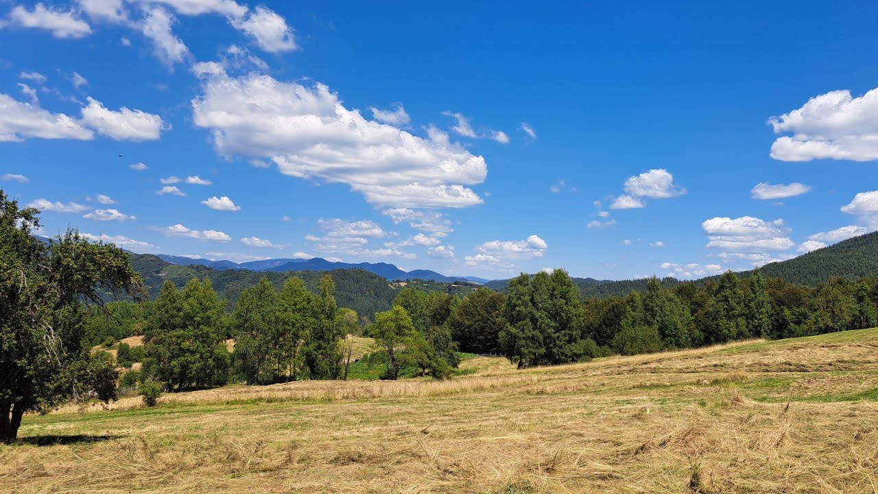 backrooms level 101 - YouTube