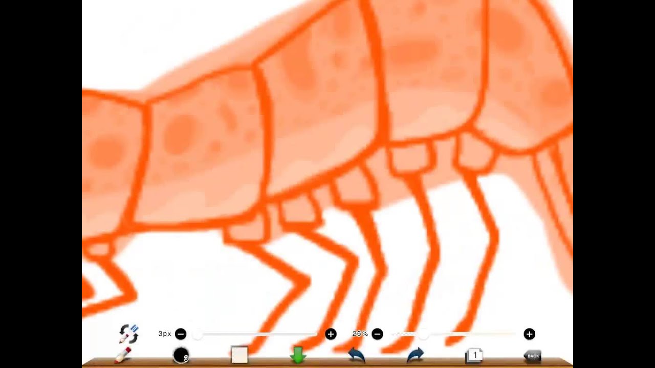 Bill and Will the Krill - YouTube