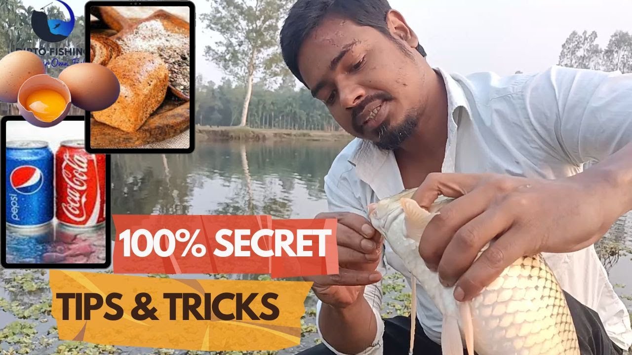 Amazing Fish Dhara Video ll Big Carp Fish Hunting ll মাছ ধরার যাদুকারী ...