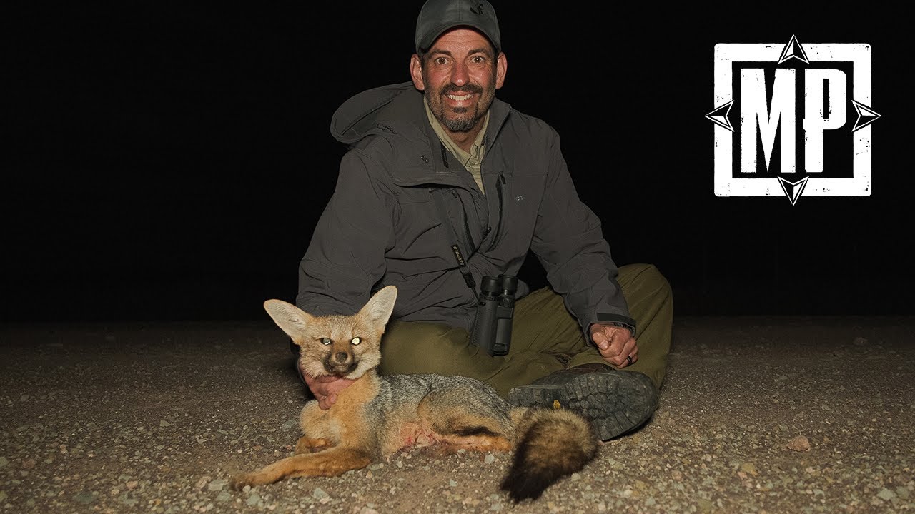Eastern Cape Steenbok and Cape Fox | Mark V. Peterson Hunting - YouTube