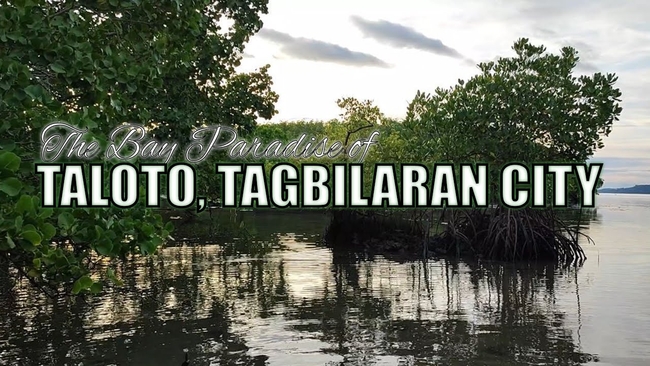 Seafront Wild: The Bay Paradise of Taloto, Tagbilaran City, Bohol - YouTube