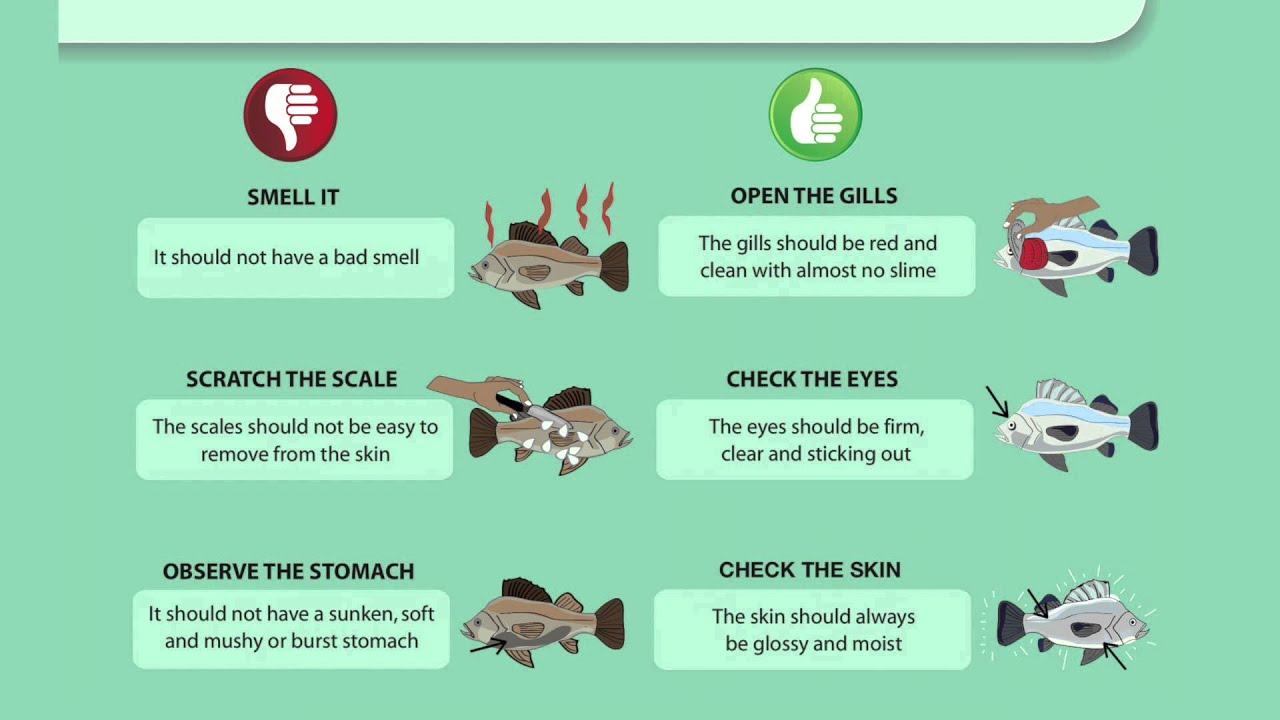 Clean Fish Better Life Campaign Flyer “How to ensure safe fish ...