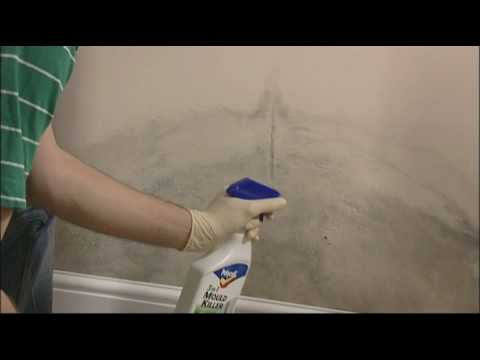 How to remove mould from walls and ceilings
