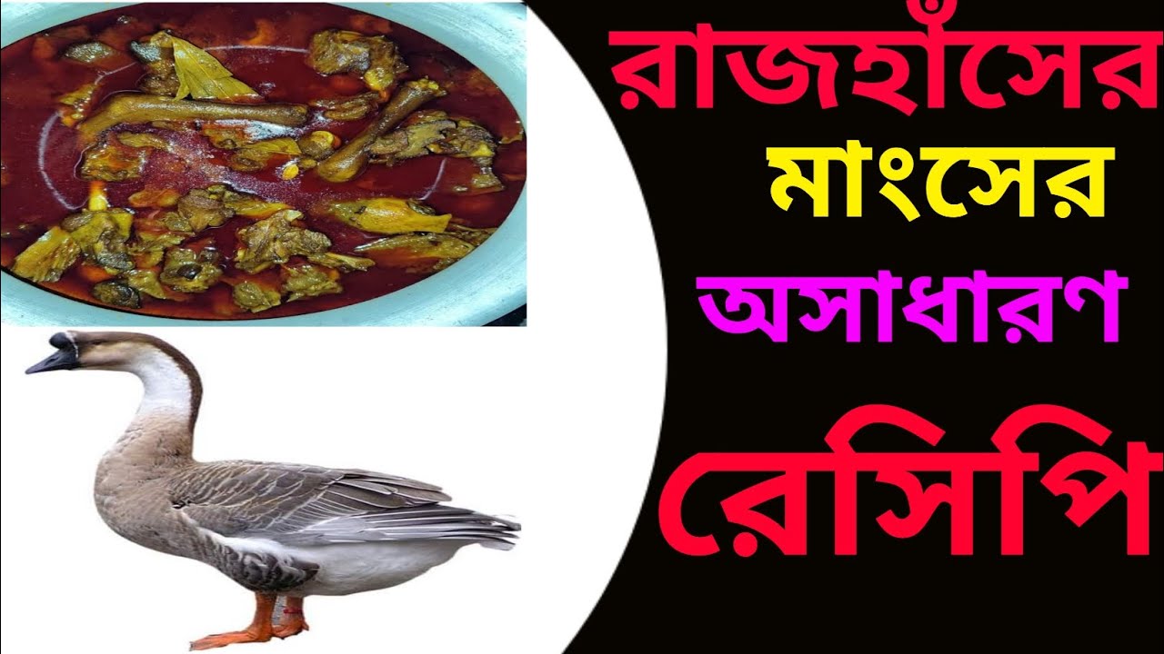 Cooking 5 kg goose curry recipe |Perfect Goose recipe|গ্রাম বাংলার ...