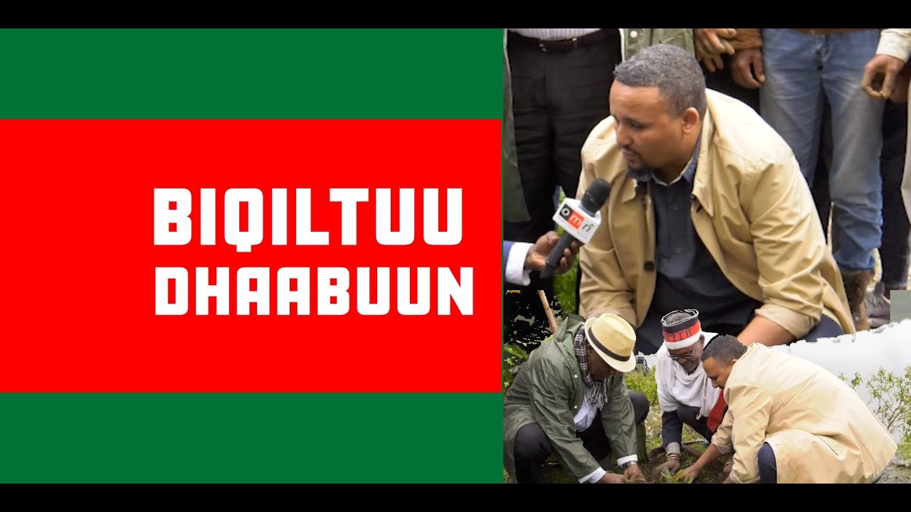 OMN: Sirna biqiltuu dhaabuu hojjettoota OMN fi jiraattota magaalaa ...