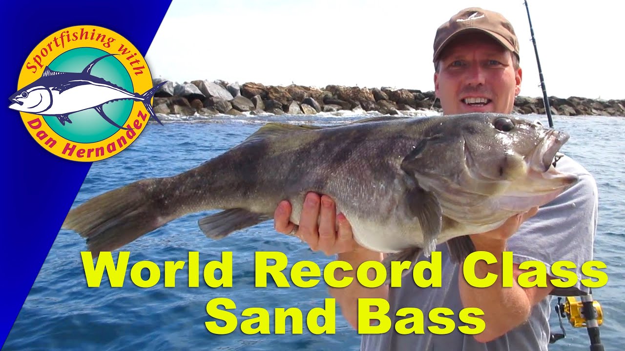World Record Class Sand Bass - YouTube