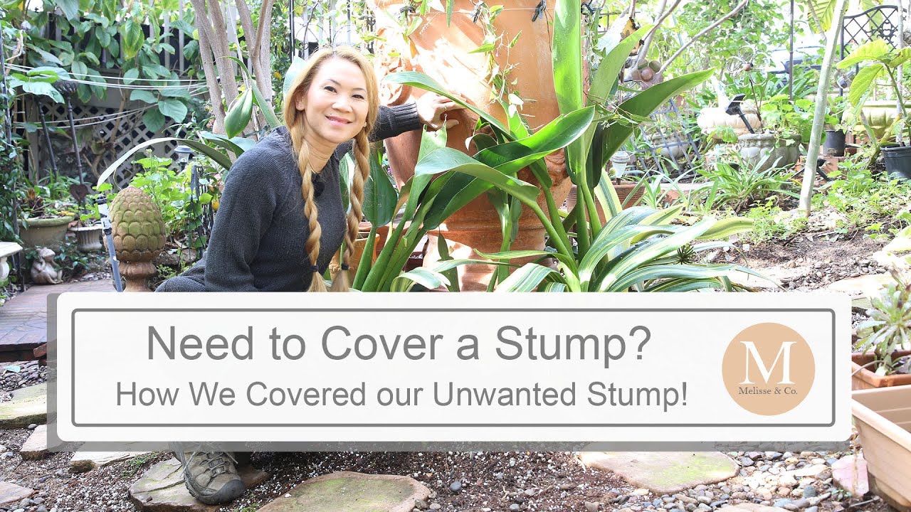 Tree Stump - Cover Up Ideas - YouTube