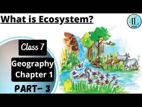 What is Ecosystem? | Environment Class 7 Geography Chapter 1 | NCERT ...