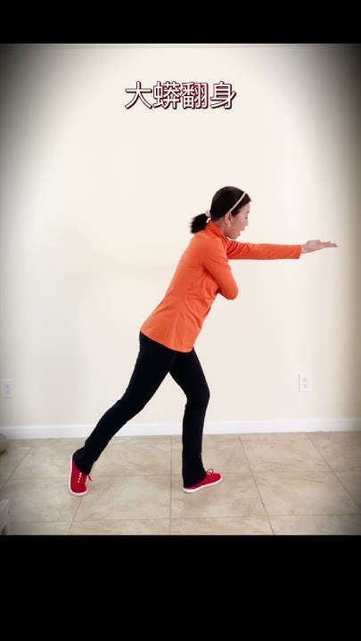 baguazhang python flip (mirror view) chunling li - YouTube