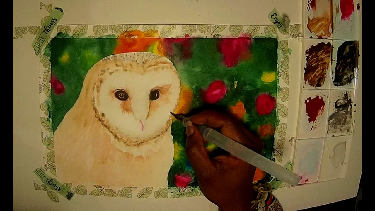 Jamaican Patoo(Barn Owl) in Watercolour - A beginner's take - YouTube
