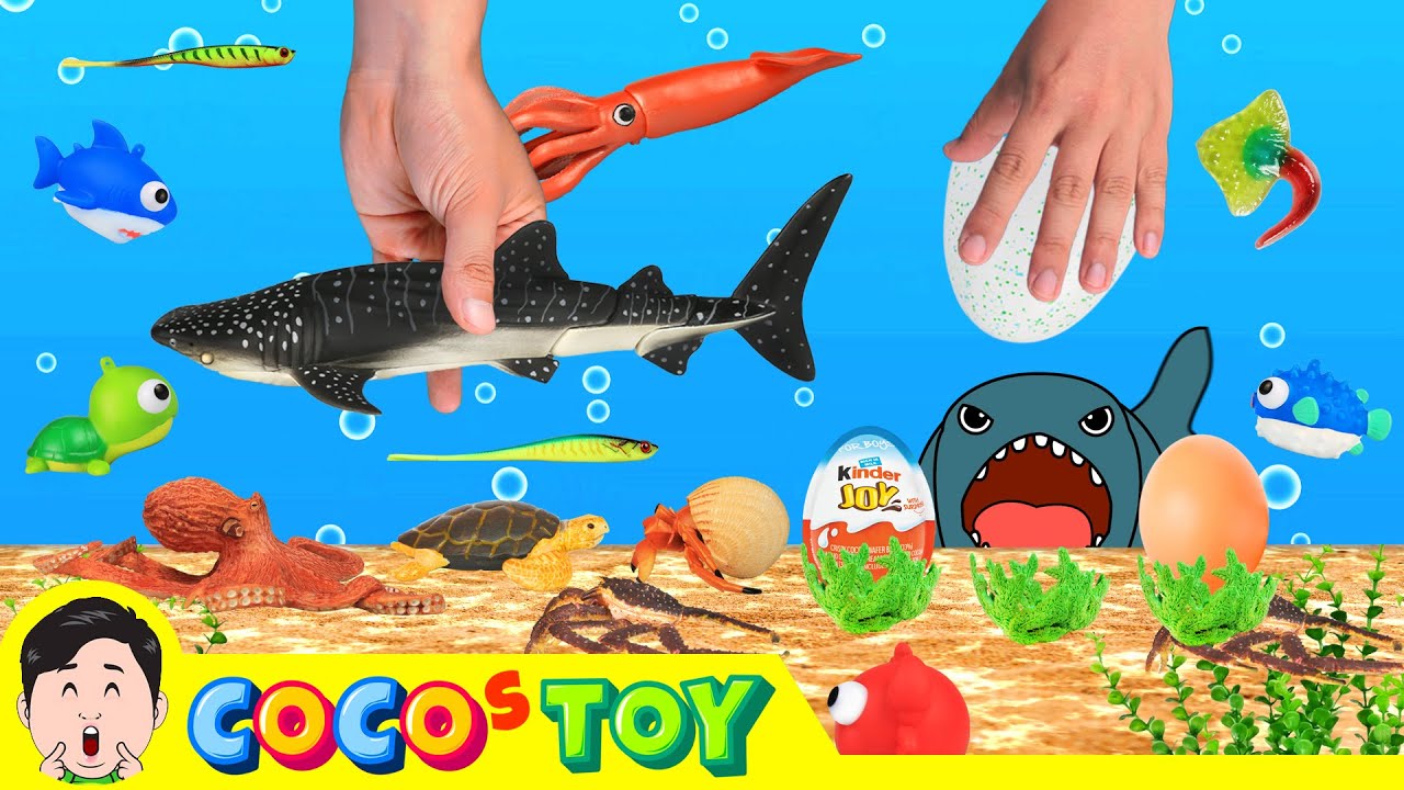 CoCosToy 60 Minutes Random Play 4｜whales cartoon for kids｜CoCosToy ...
