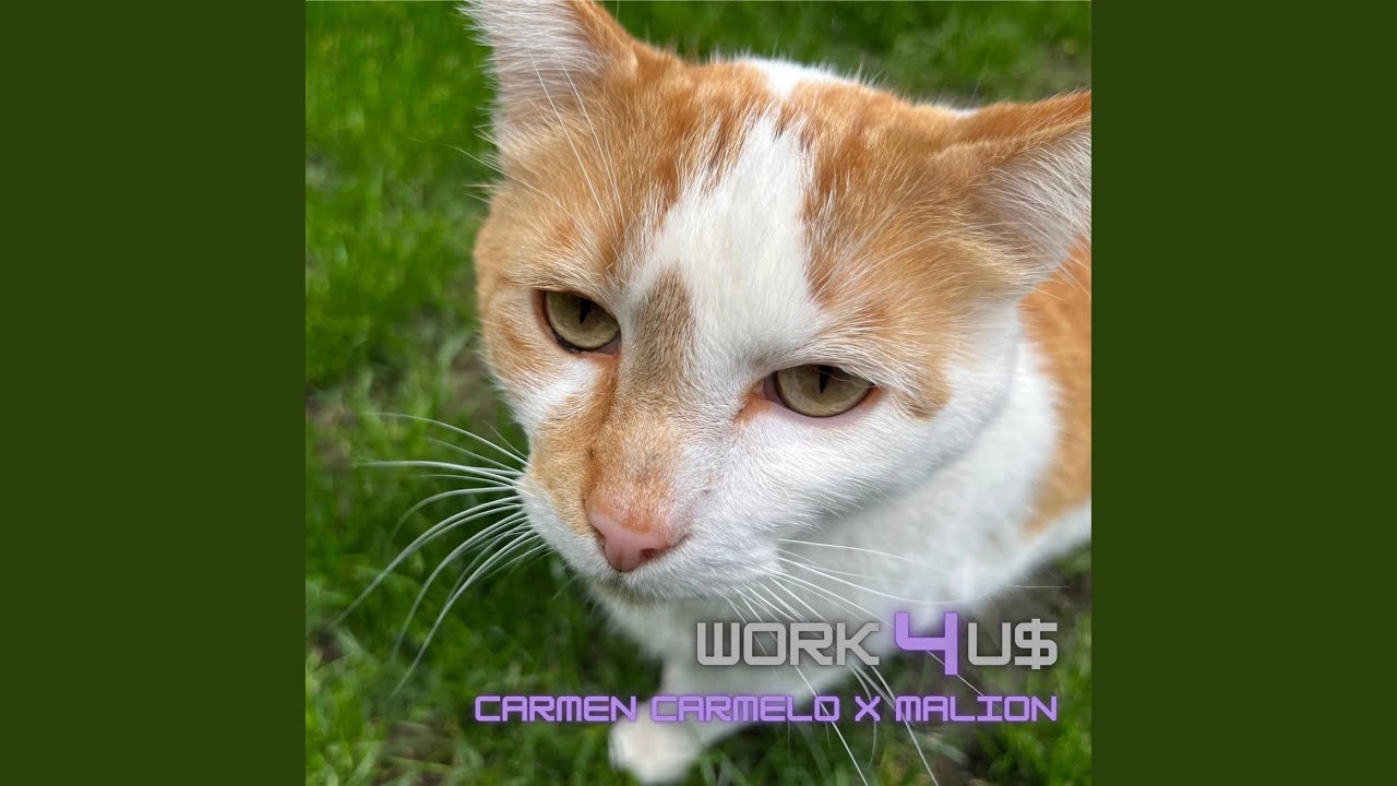 work 4 us (feat. Malion) - YouTube