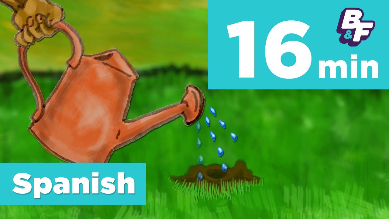 Learn Spanish Math And Nature Vocabulary With BASHO FRIENDS learn-spanish-math-and-nature-vocabulary-with-basho-friends