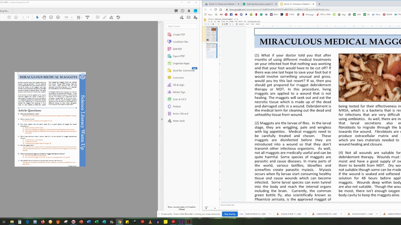 Science Article 13 - Miraculous Medical Maggots (by Tangstar Science ...