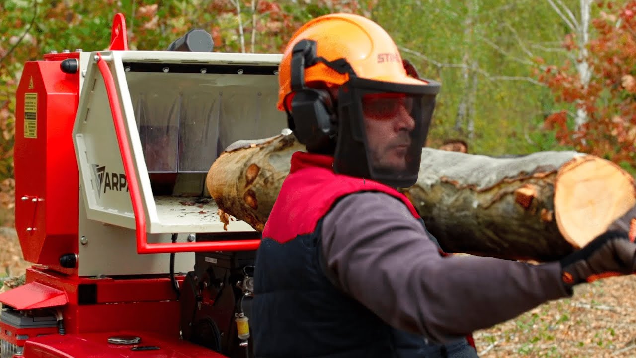 🤯Chop a 200 mm Log in Seconds! The Ultimate Branch Logger! - YouTube