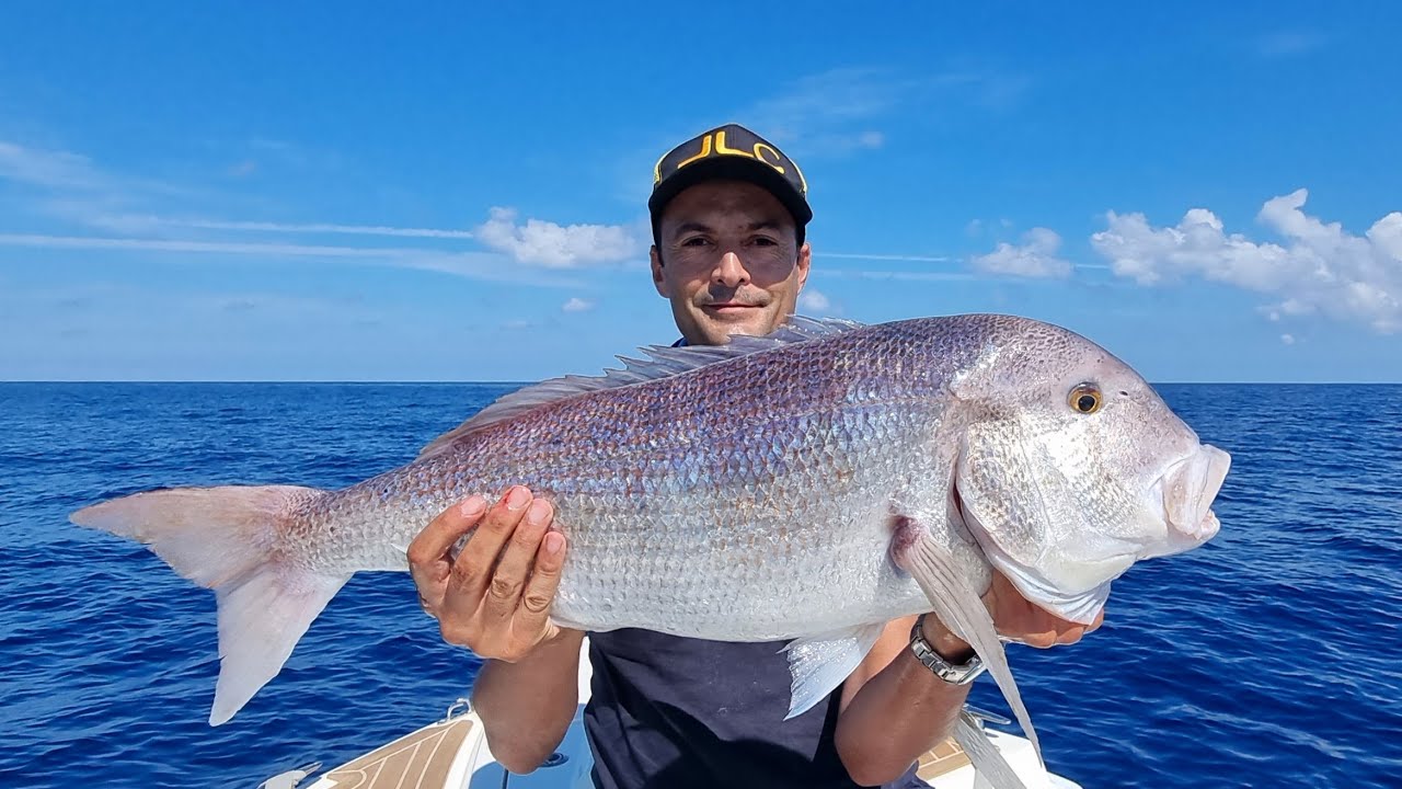 صيد الدنديق من قاع الغريق في تونس Dentex Fishing - YouTube