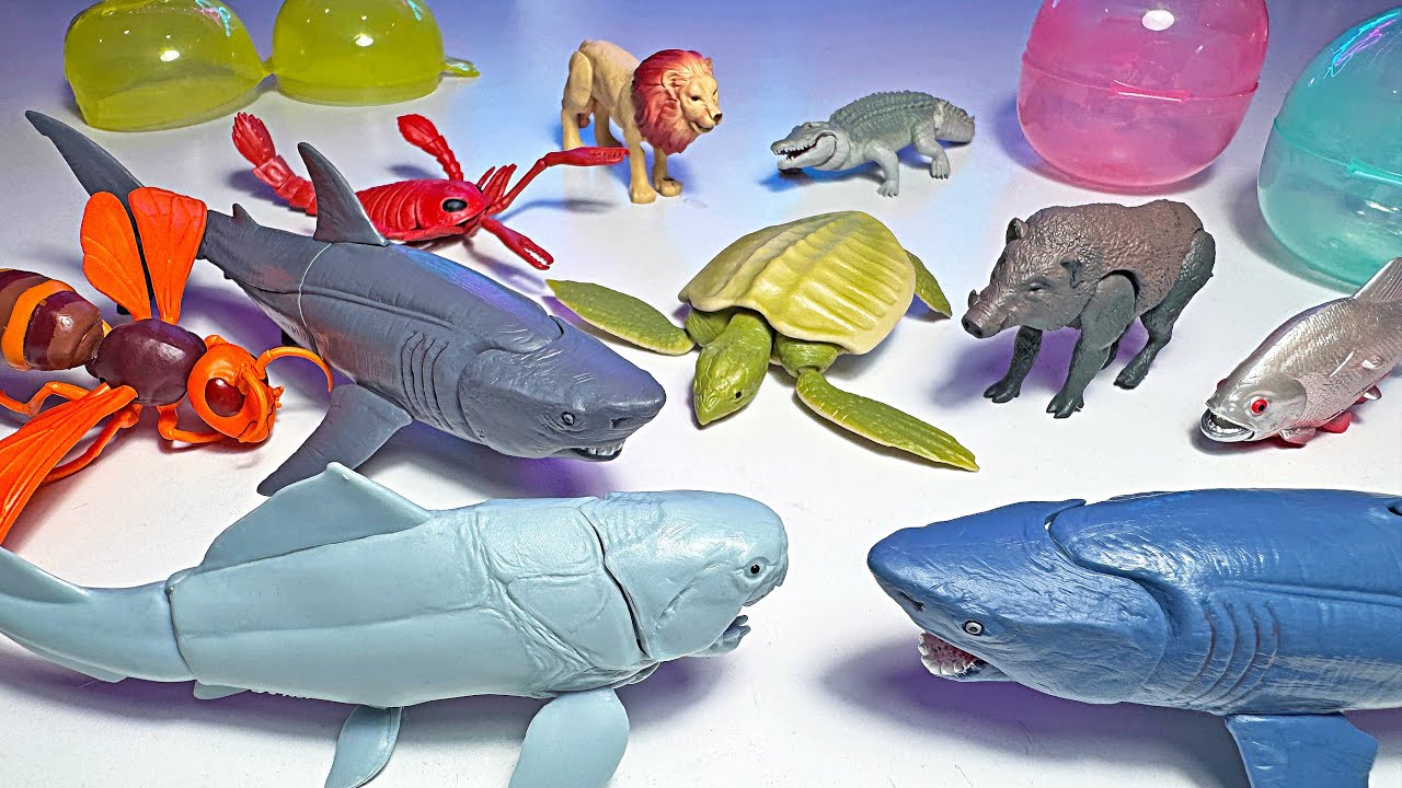 New Sea Animals Gachapon Toys - Shark, Sea Turtle, Piranha, Crocodile ...