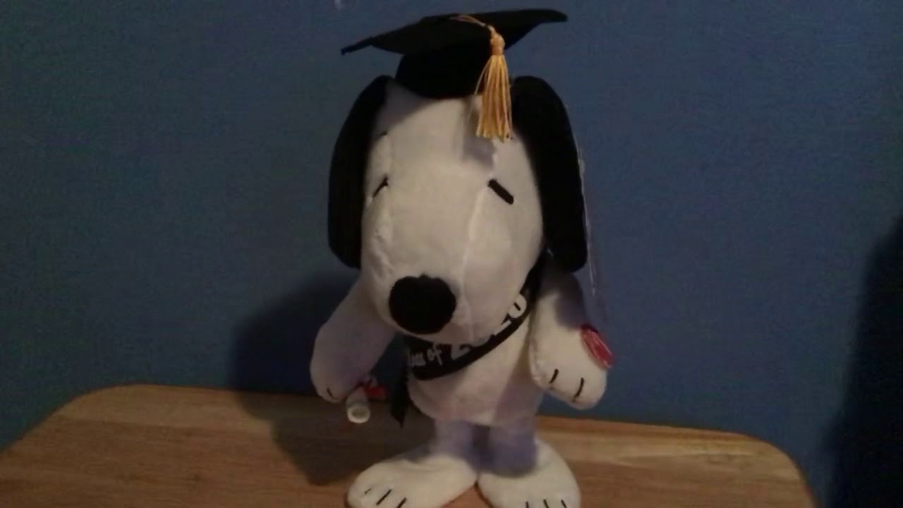 2020 DanDee Graduation Wadding Snoopy - YouTube