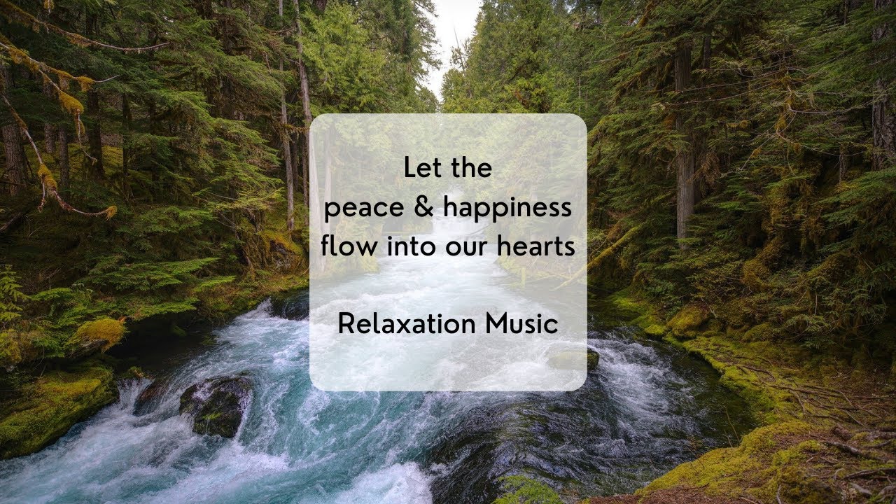 Let the peace, happiness and joy flow into your heart|24/7 Meditation ...