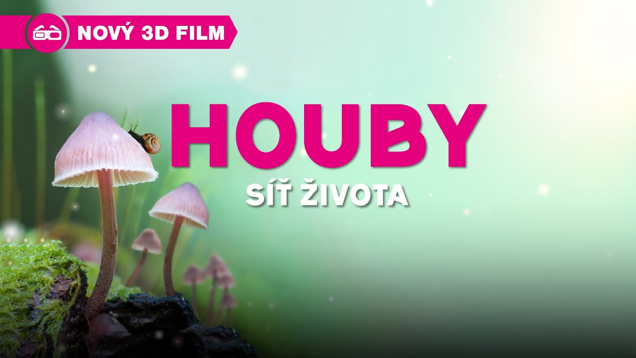 Houby: síť života 3D / trailer - YouTube