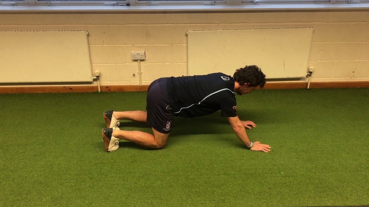 Bear Crawl Upper Body Walk out - YouTube