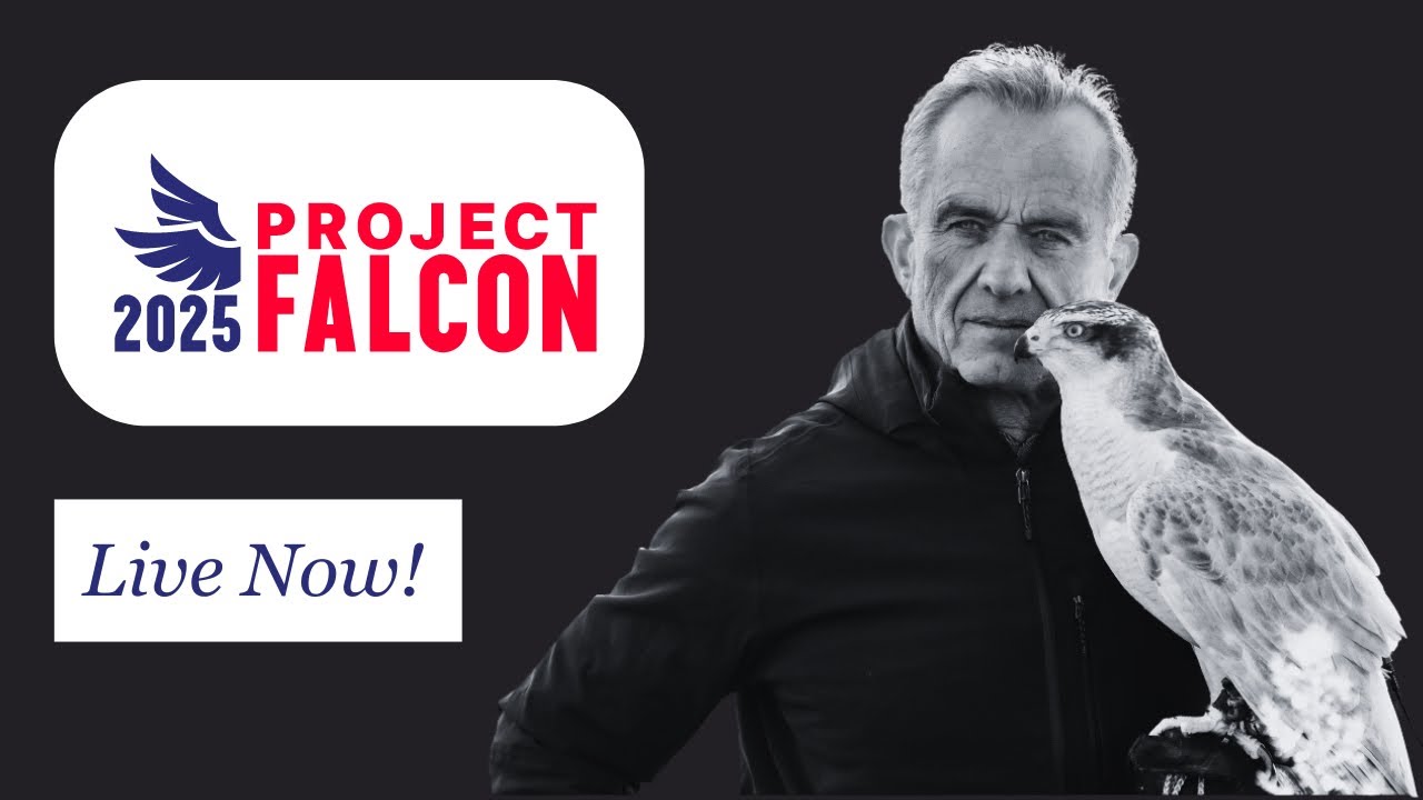 Project Falcon 2025 - The Real 2025 Plan - YouTube