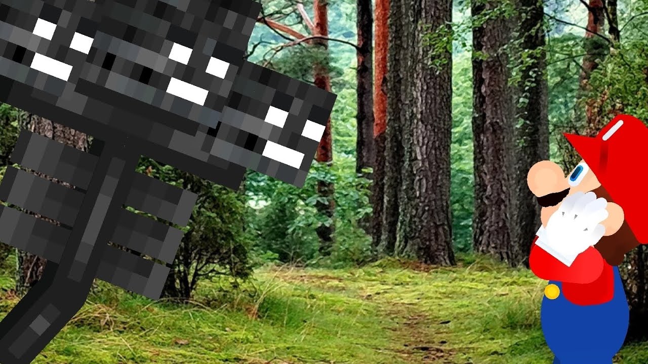 The Wither Cripples Mario (Animation Cartoon Skit) - YouTube