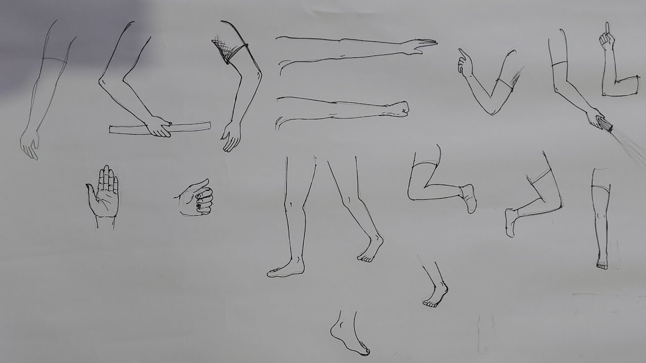 How to draw hands and legs for beginners/How todraw easy hands and legs ...