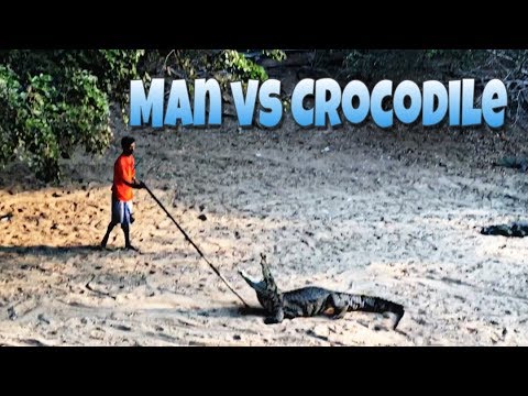 Pondicherry crocodile Park || Giant Crocodile attacked Man in Park ...