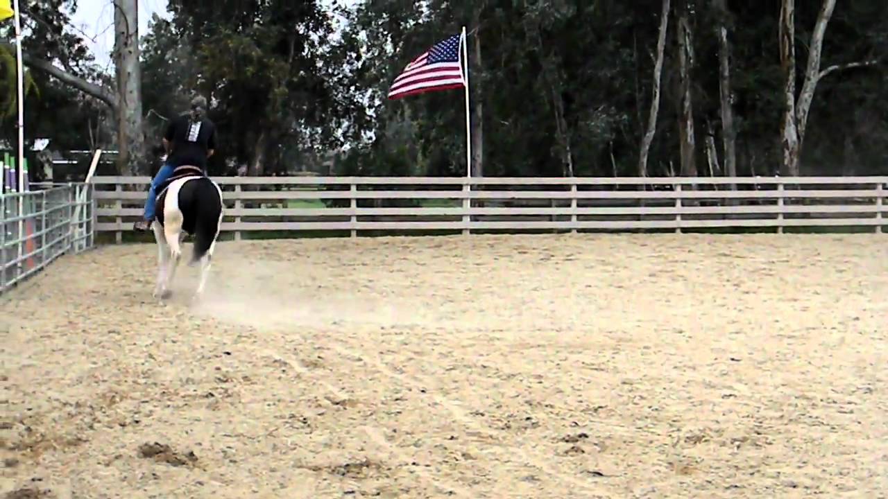 Jackson Pony - YouTube