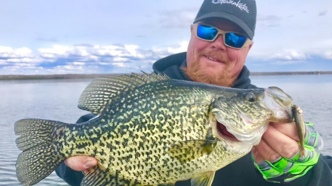 The Night Bite with Brian “Bro” Brosdahl - YouTube