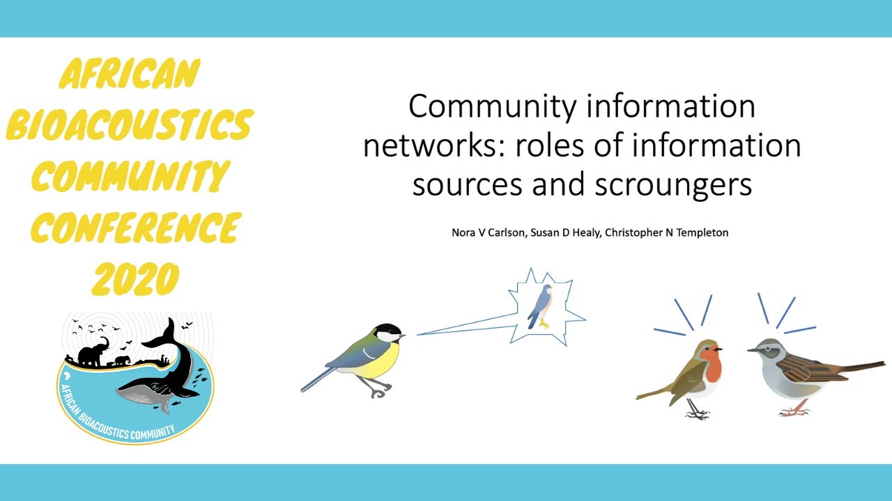 Community information networks: roles of information sources and ...