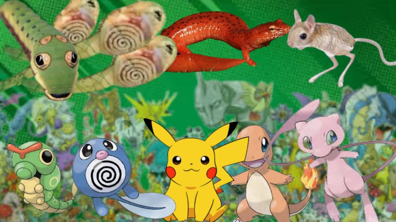 12 pokémons inspirados em animais| pokémons inspirados em animais - YouTube