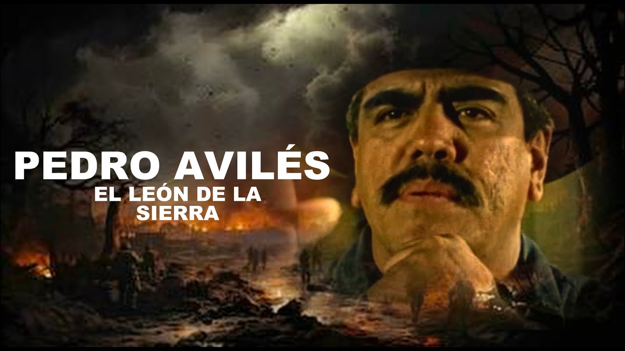 La Historia Detras del Corrido - Pedro Aviles | Narco en Mexico | Con ...