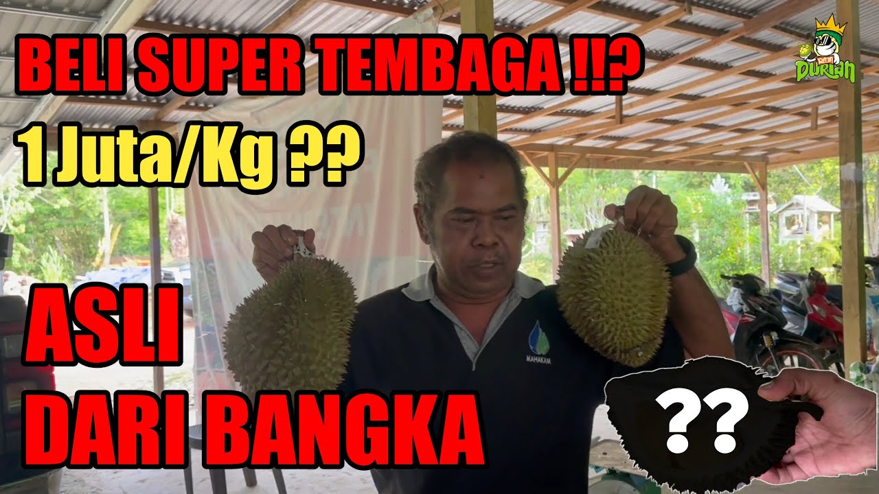 BELI SUPER TEMBAGA DARI BANGKA !!! - YouTube