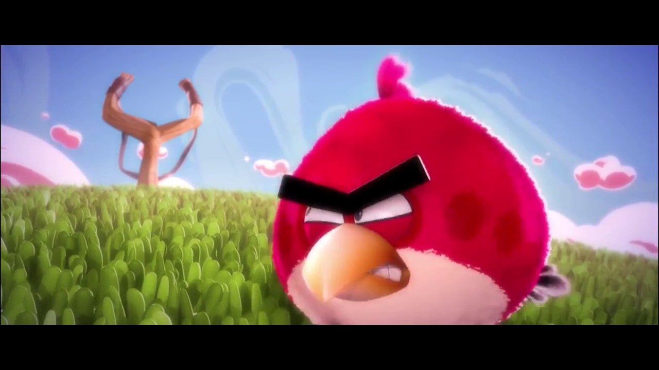 Angry Birds 3D Animation - YouTube