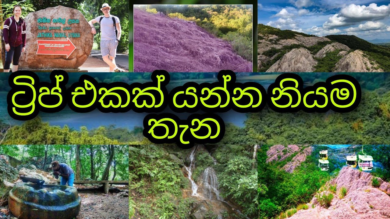 ජාතික නාමල් උයන අනුරාධපුර | jathika Namal uyana, Anuradhapura - YouTube