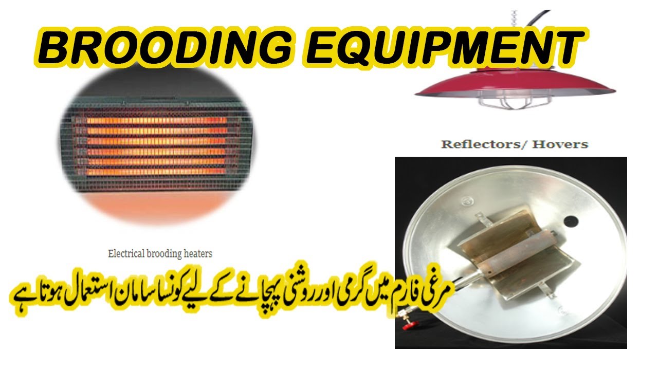 chicken brooder equipment/brooder equipment/poultry brooder equipment ...