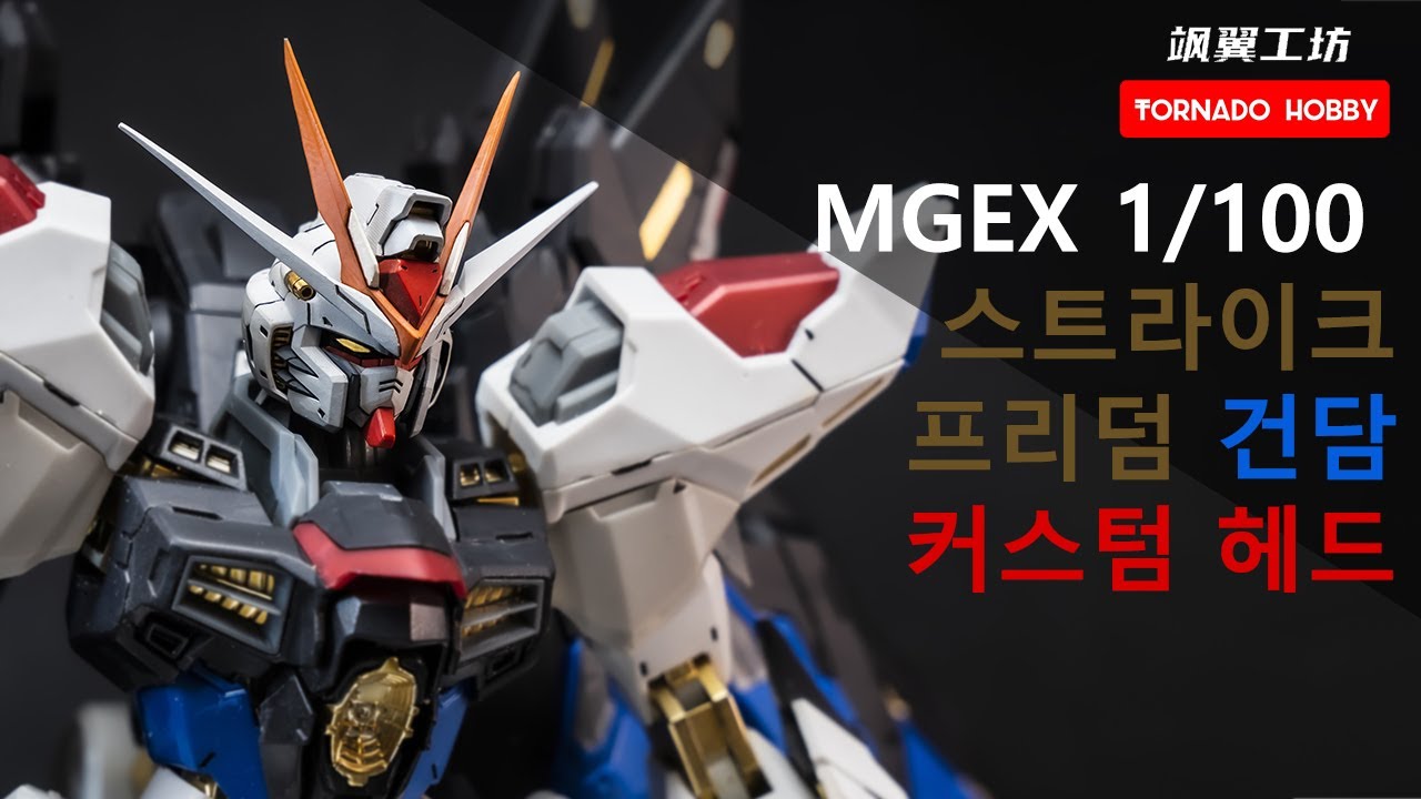 TORNADO HOBBY 1/100 MGEX 스트라이크 프리덤 건담 커스텀 헤드 Strike Freedom Gundam ...