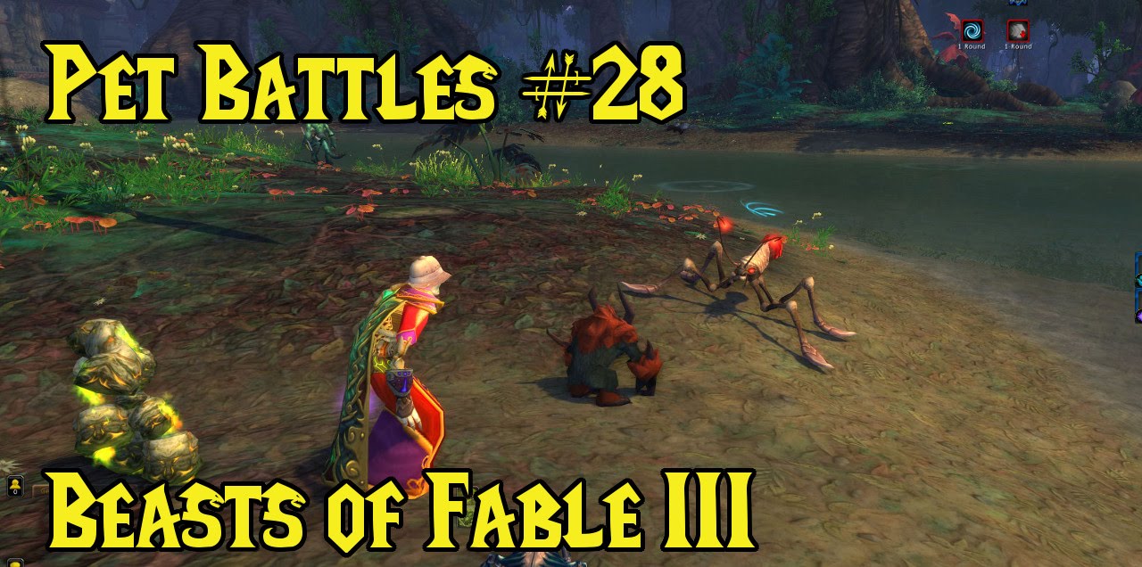 WoW - Pet Battles 28 - Beasts of Fable III - YouTube