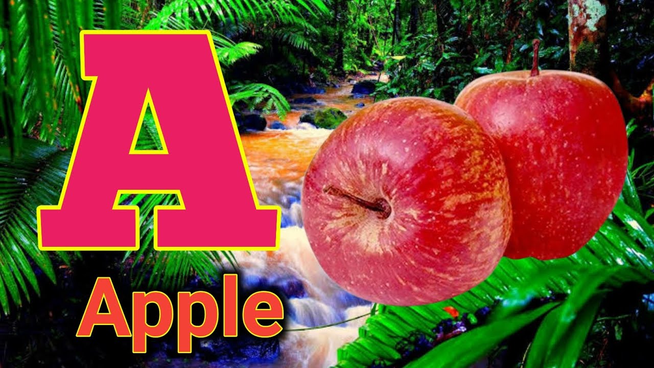a for apple b for ball c for cat | alphabet Phonics | song | ABCD ...