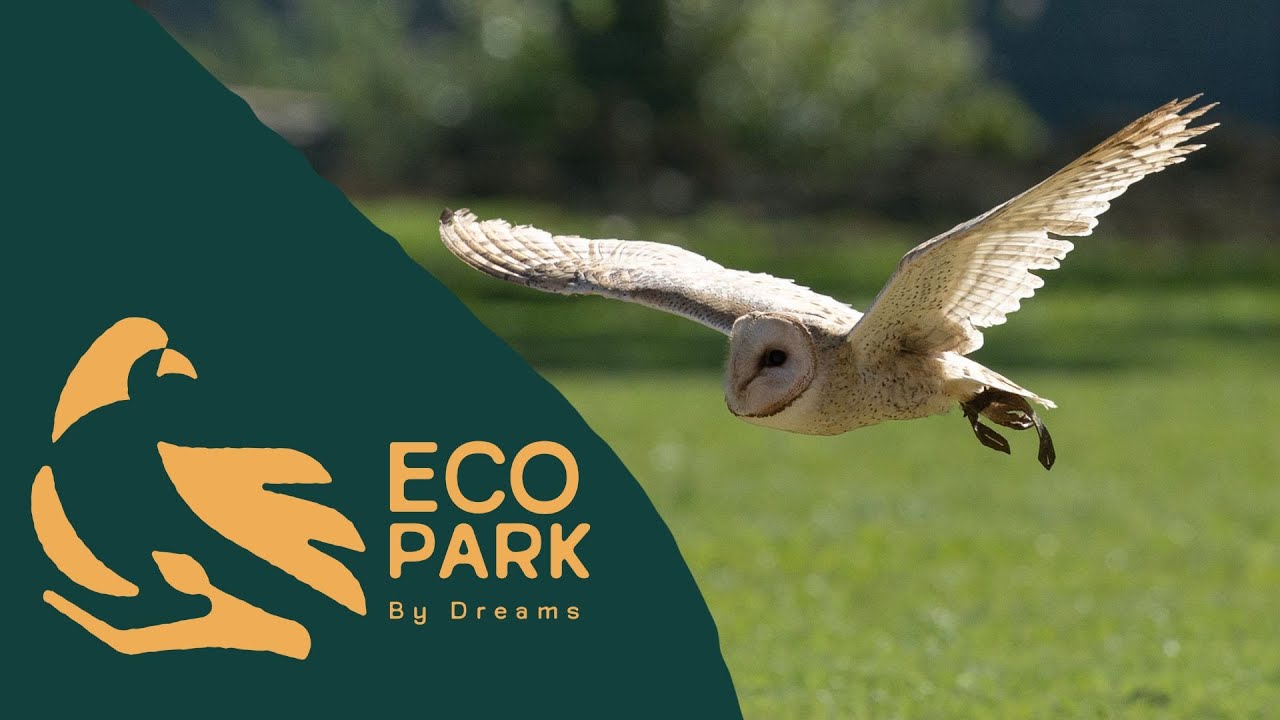 Somos todos parte da natureza! Eco Park By Dreams - YouTube